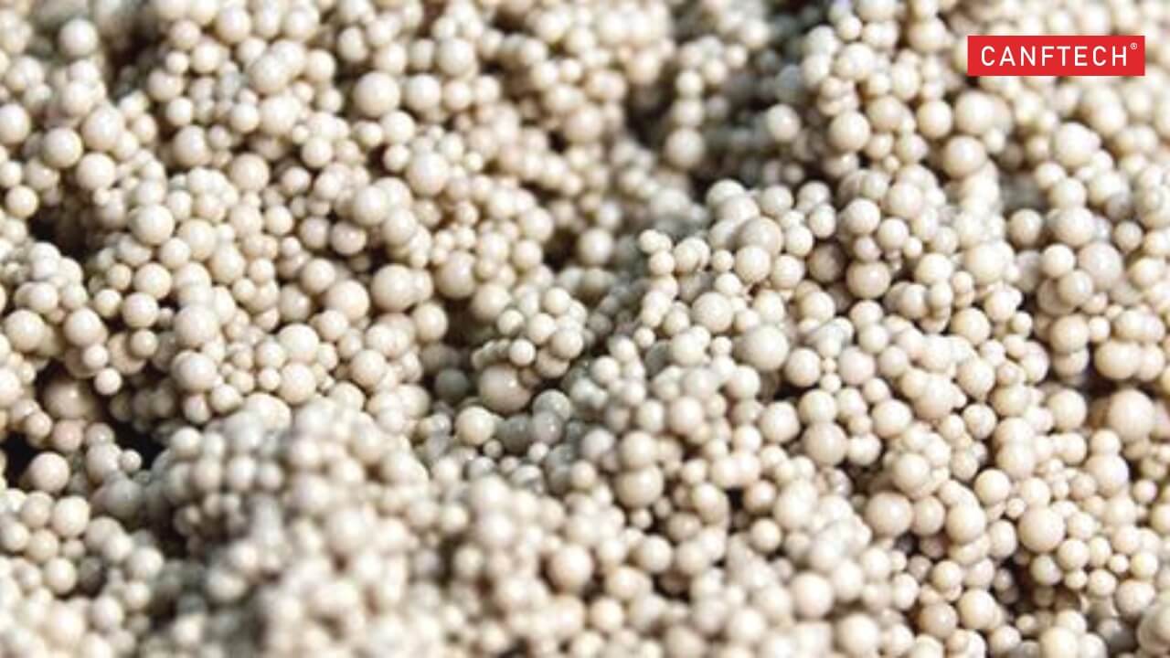 Sugar refining by ion exchange resin - Canftech